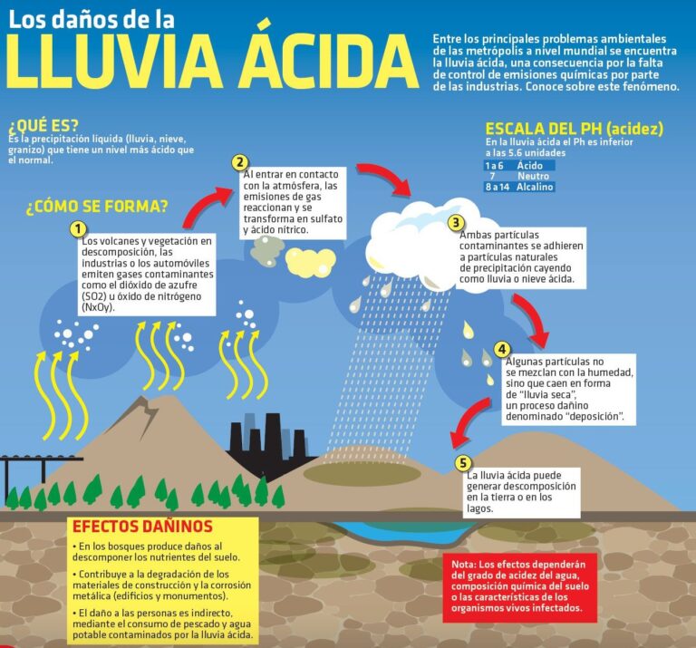 Esquema de la lluvia ácida ¡Fotos & Guía 2024!