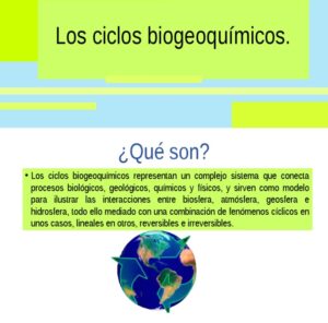 Esquema de los ciclos biogeoquímicos ¡Fotos & Guía 2024!