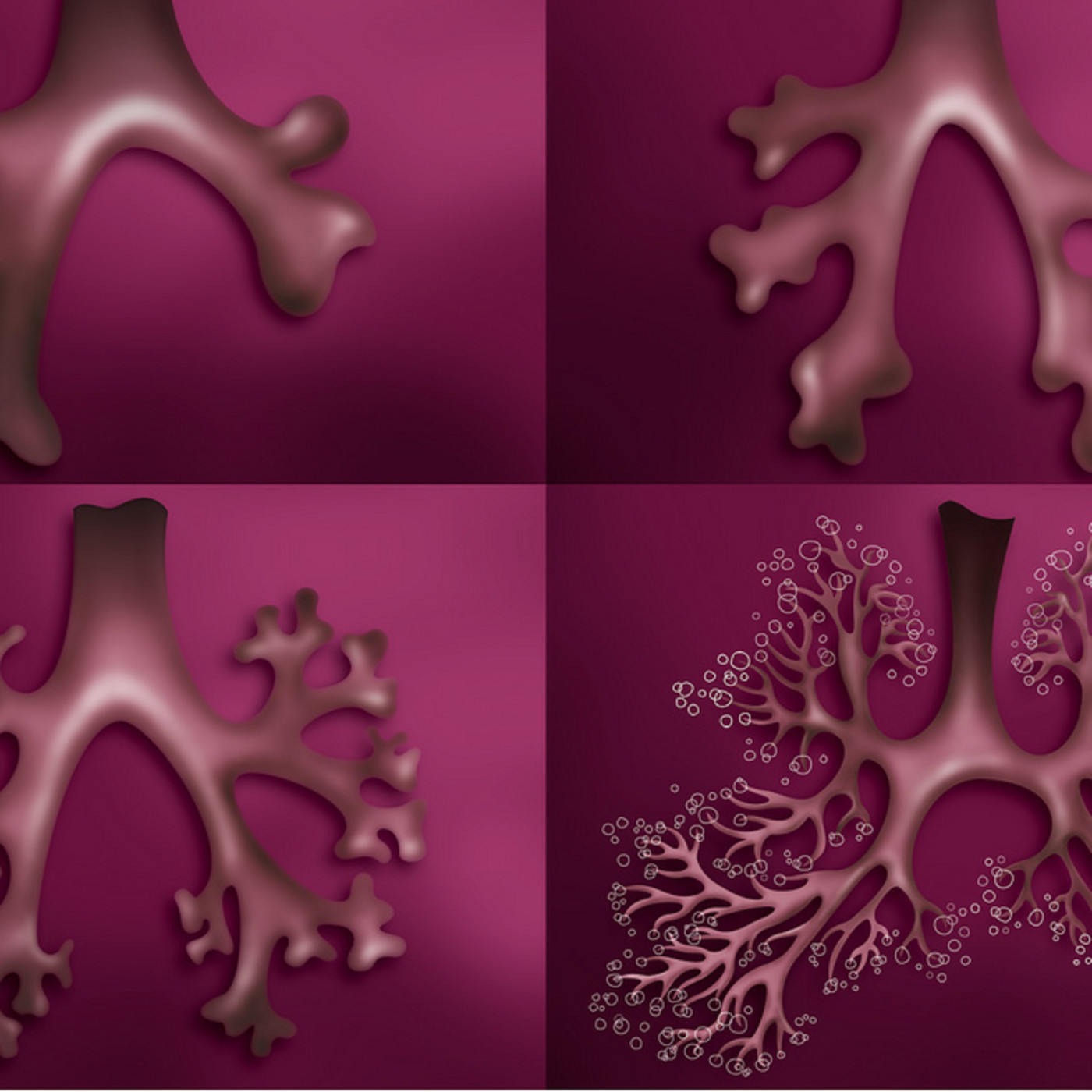 Esquema de maduración pulmonar ¡Fotos & Guía 2024!